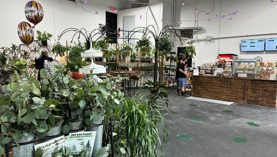 New Plant Shop and Gourmet Soda Bar Bring Refreshing Vibes to Downtown ...