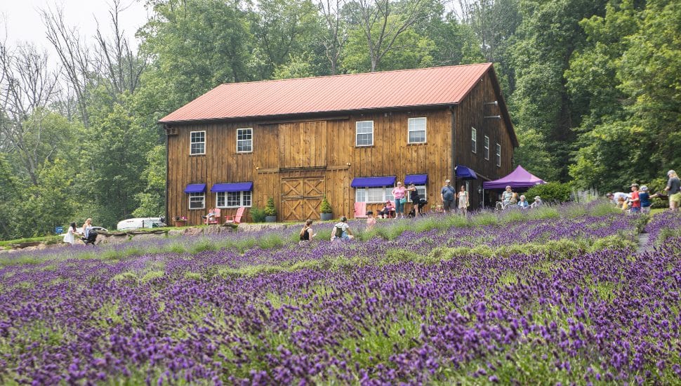 Bucks County Events Happening This Weekend, From Doylestown Pride to ...
