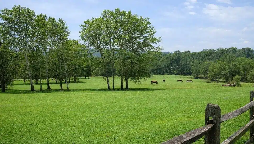 Pennsylvania Lawmakers Push to Ban Data Centers on Farmland as AI ...